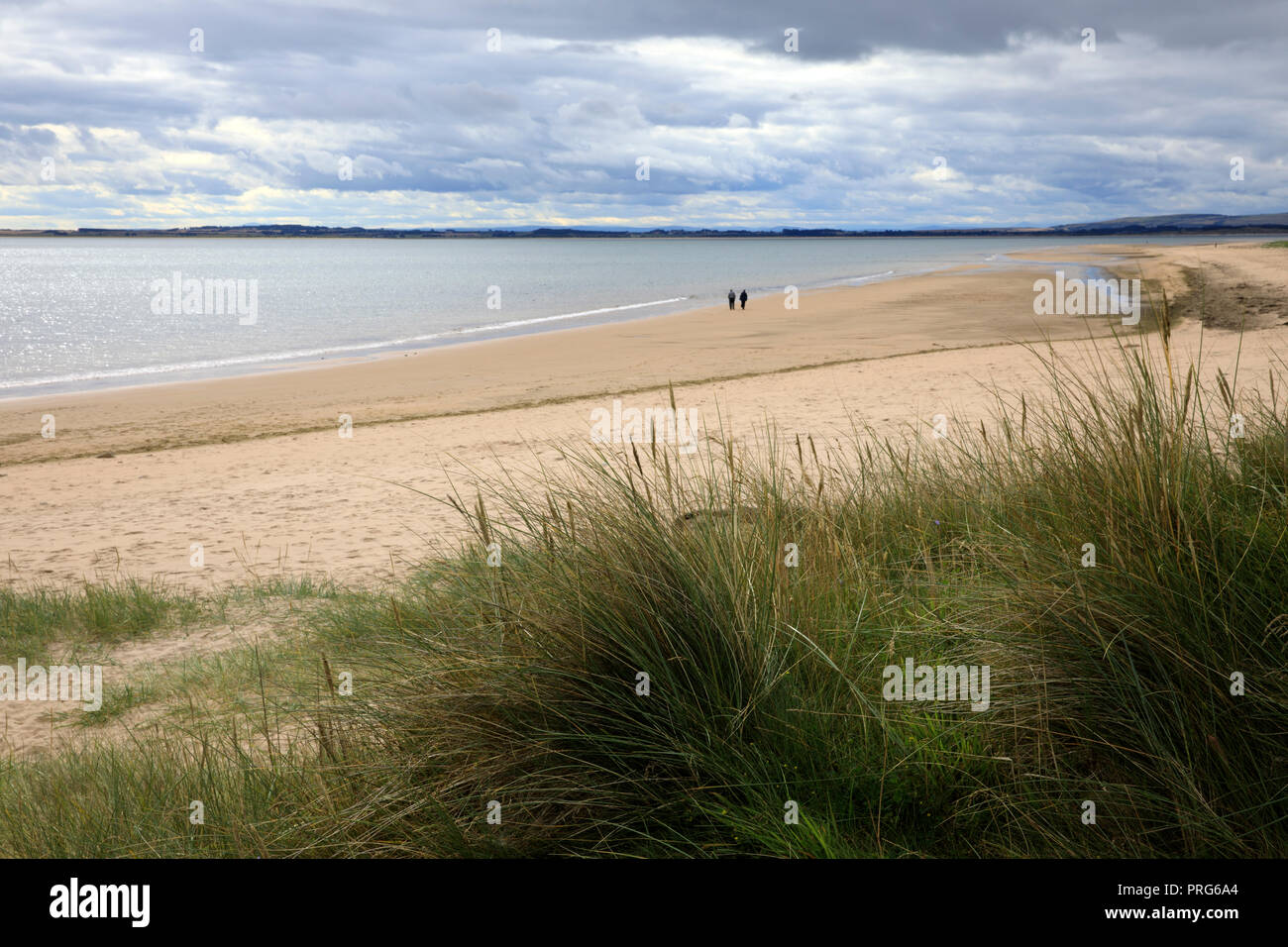 Dornoch Beach, Dornoch, Scotland, Highlands, United Kingdom Stock Photo ...
