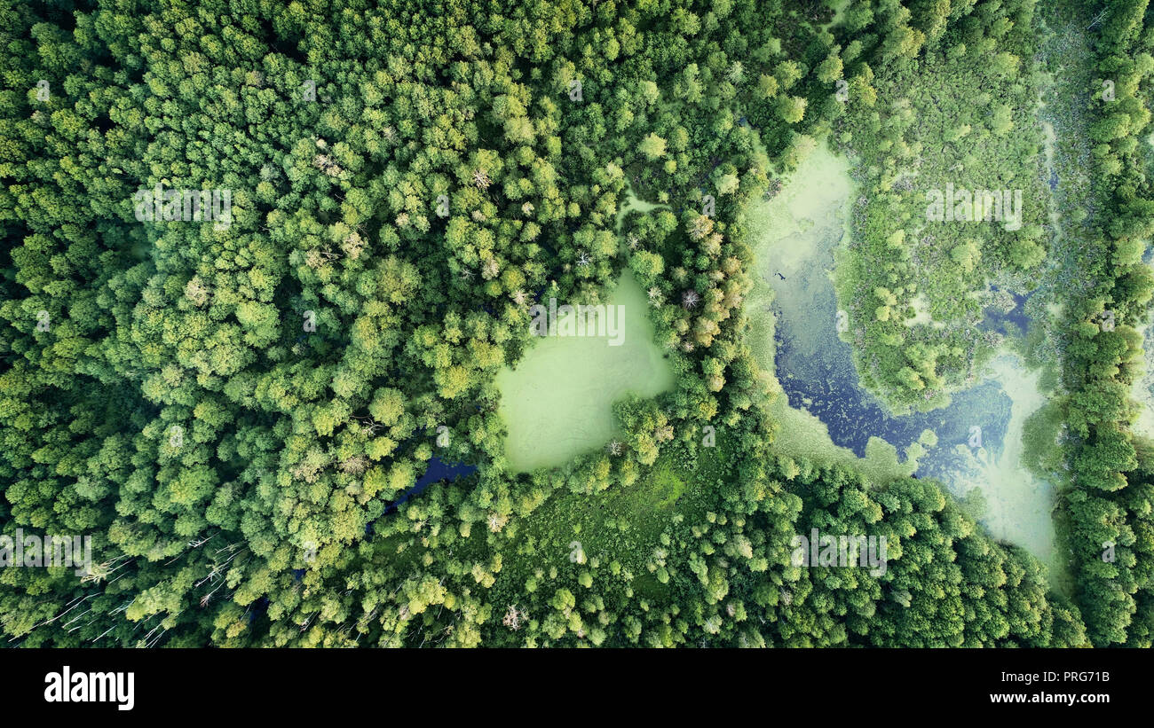 Aerial landscape from the drone Stock Photo - Alamy