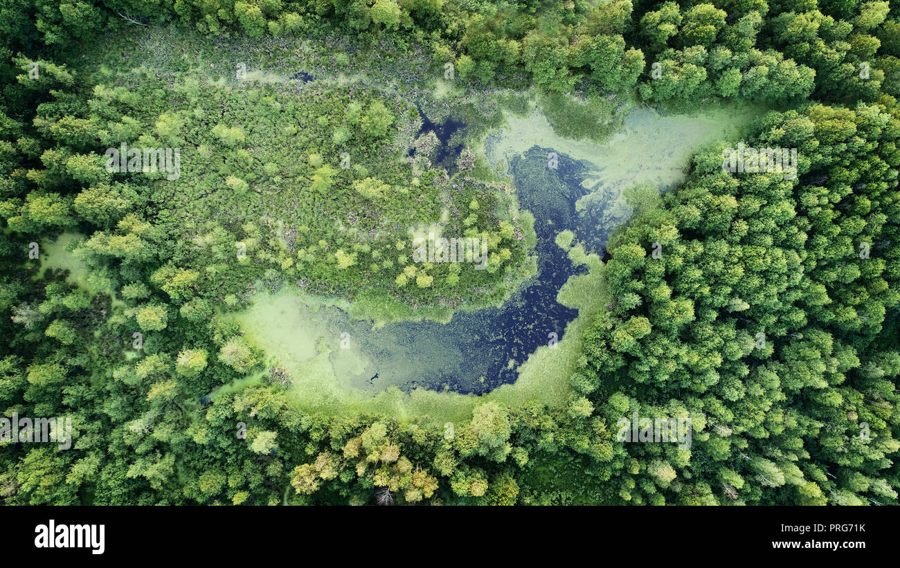 Aerial landscape from the drone Stock Photo - Alamy