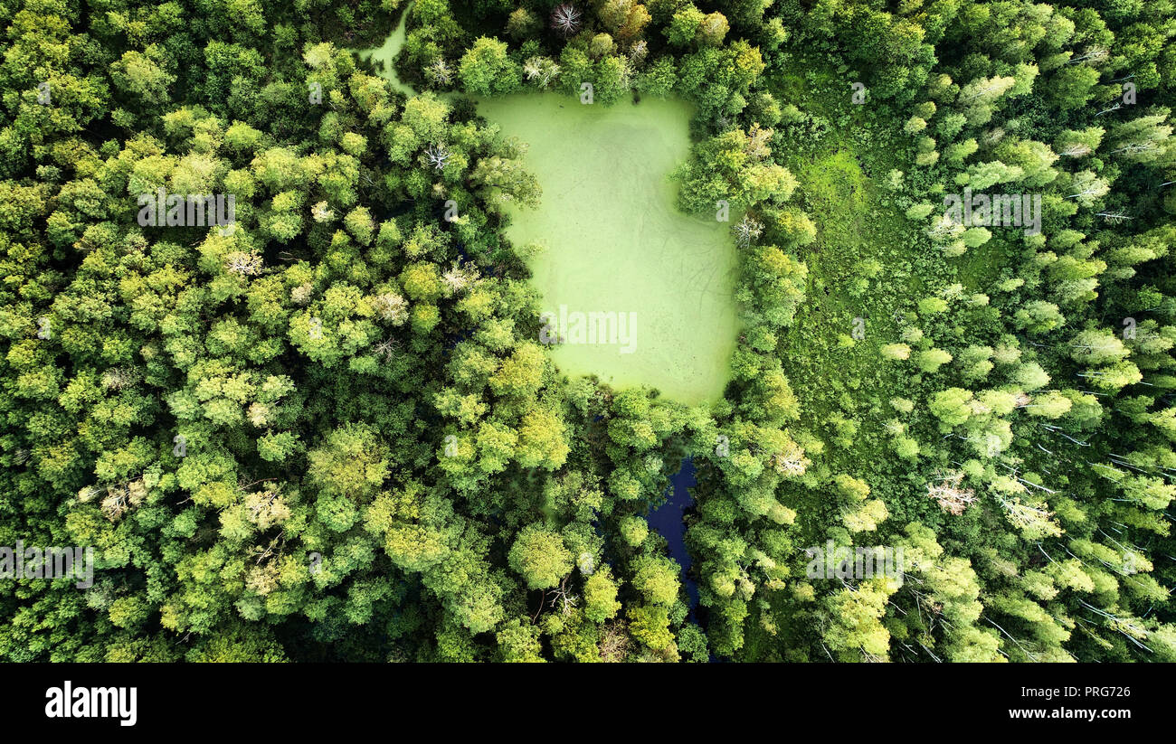 Aerial landscape from the drone Stock Photo - Alamy