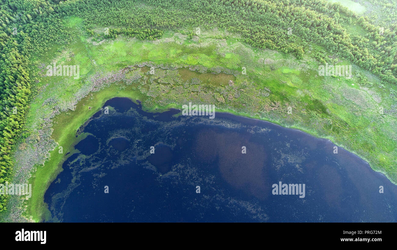 Aerial view from drone- lake in the forest Stock Photo - Alamy