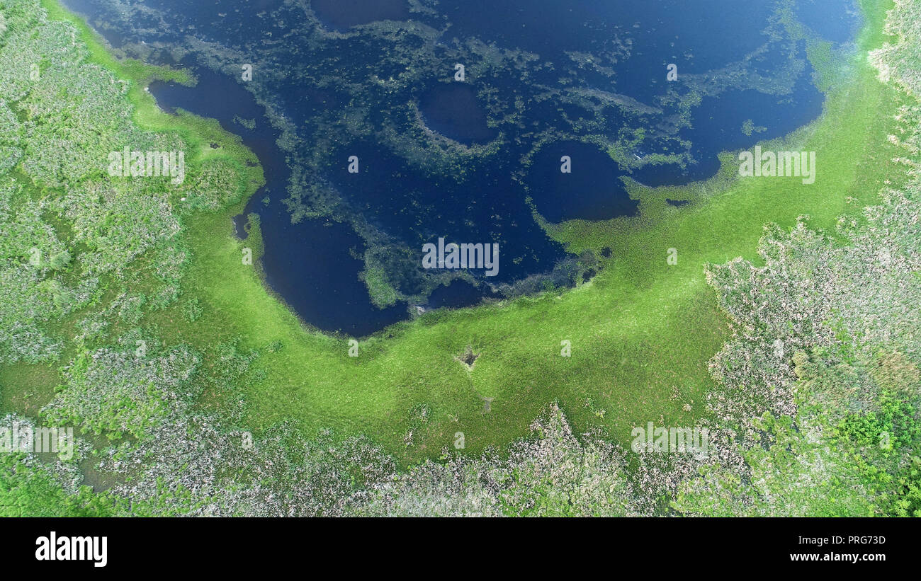 Aerial landscape - lake shoreline Stock Photo - Alamy