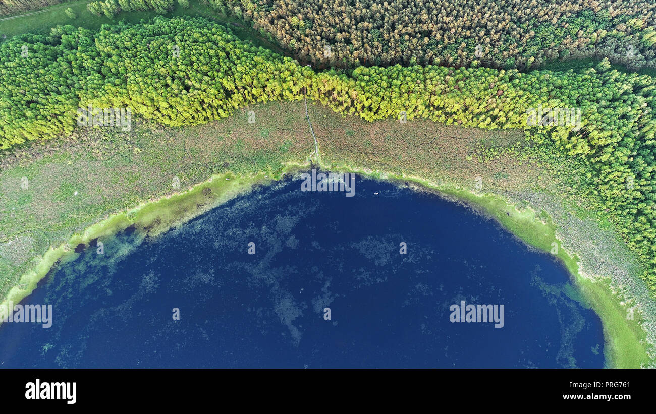 Aerial view from drone- lake in the forest Stock Photo - Alamy