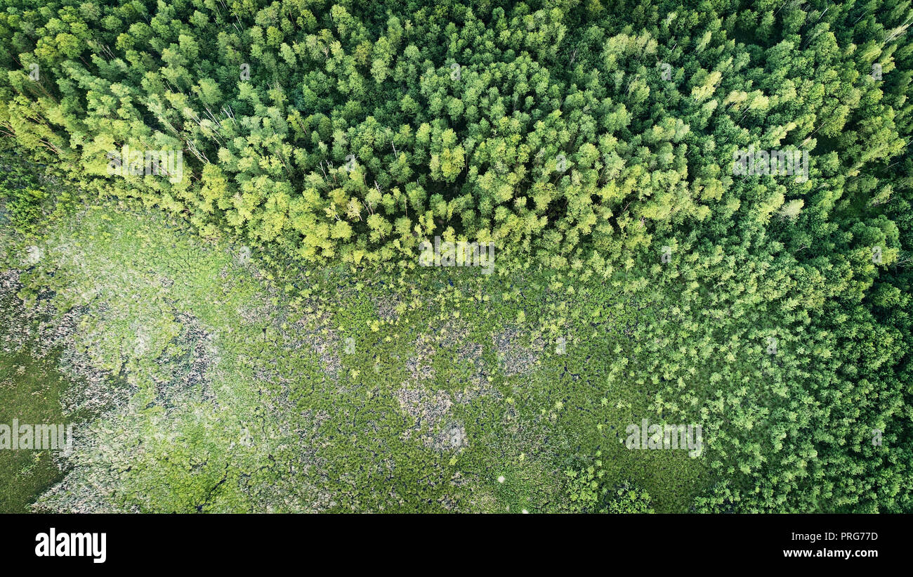 Aerial landscape - forest trees Stock Photo - Alamy