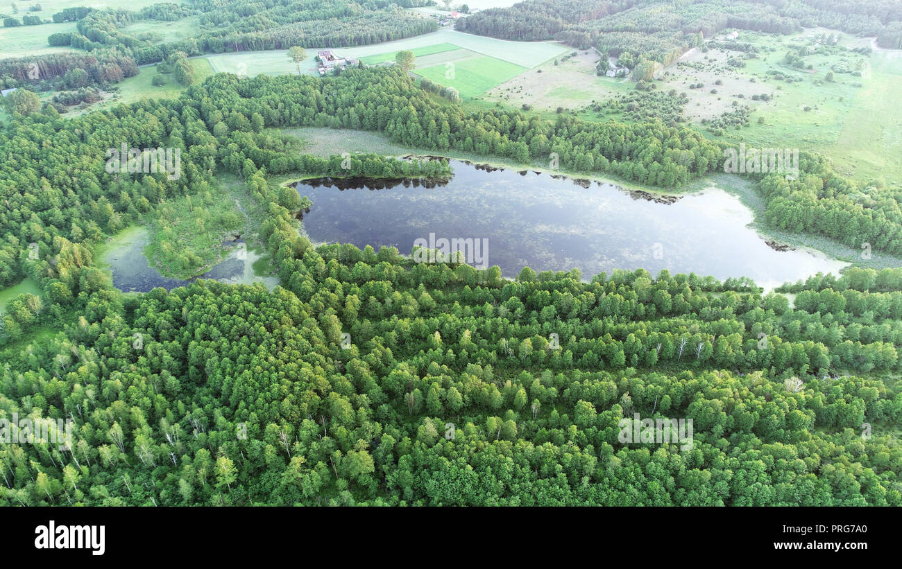 Aerial view from drone- lake in the forest Stock Photo - Alamy