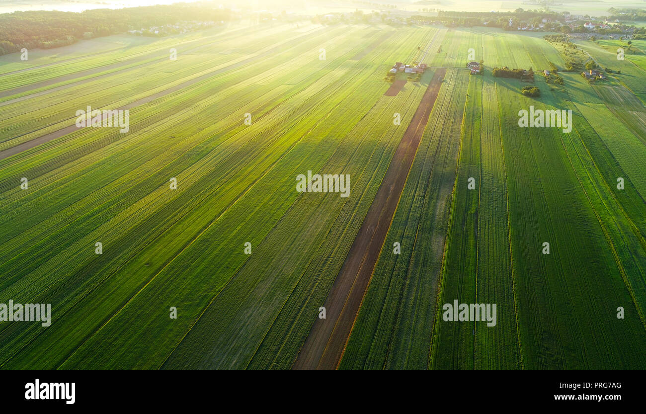 Aerial landscape - spring fields Stock Photo - Alamy