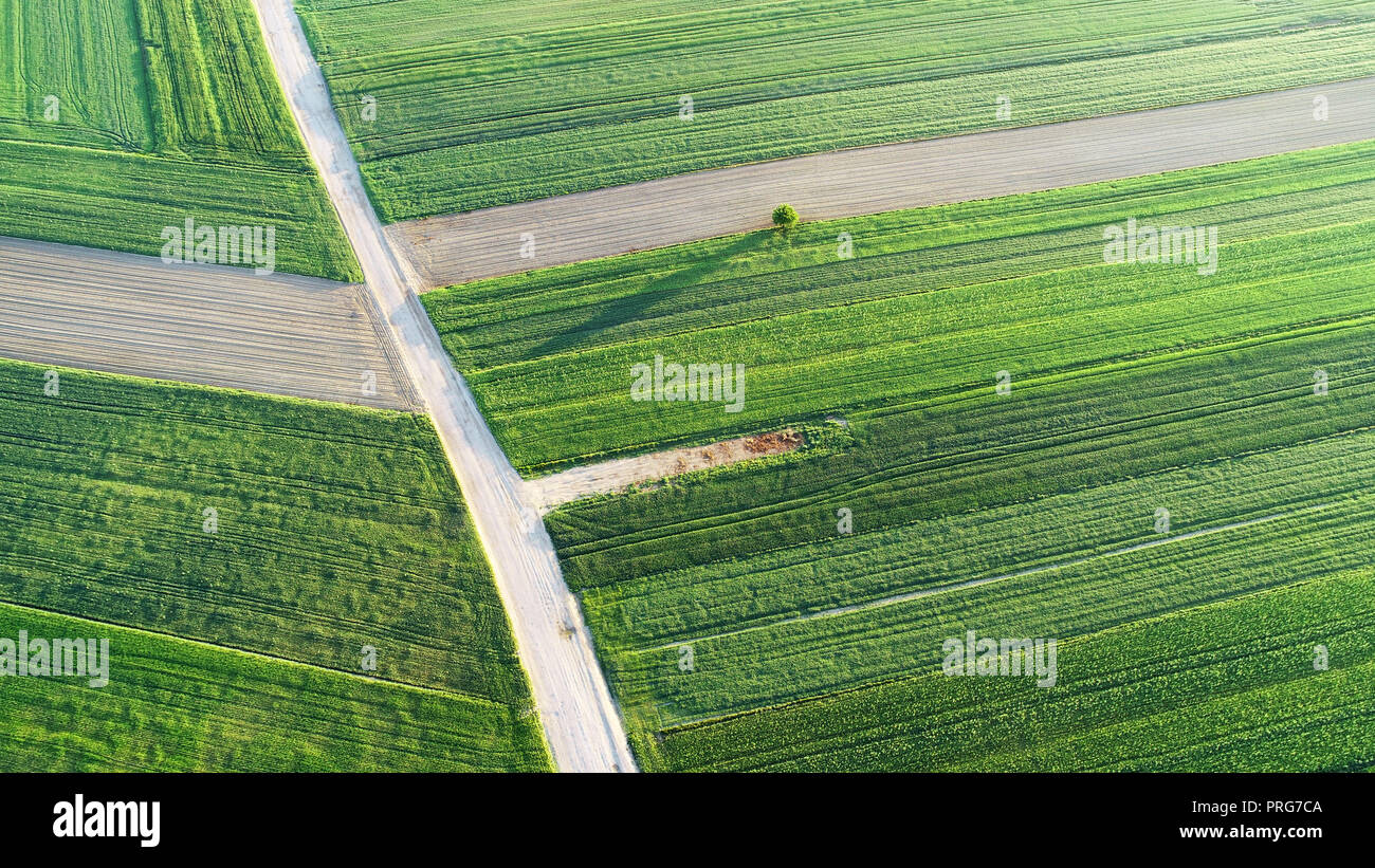 Aerial landscape - road between fields Stock Photo - Alamy