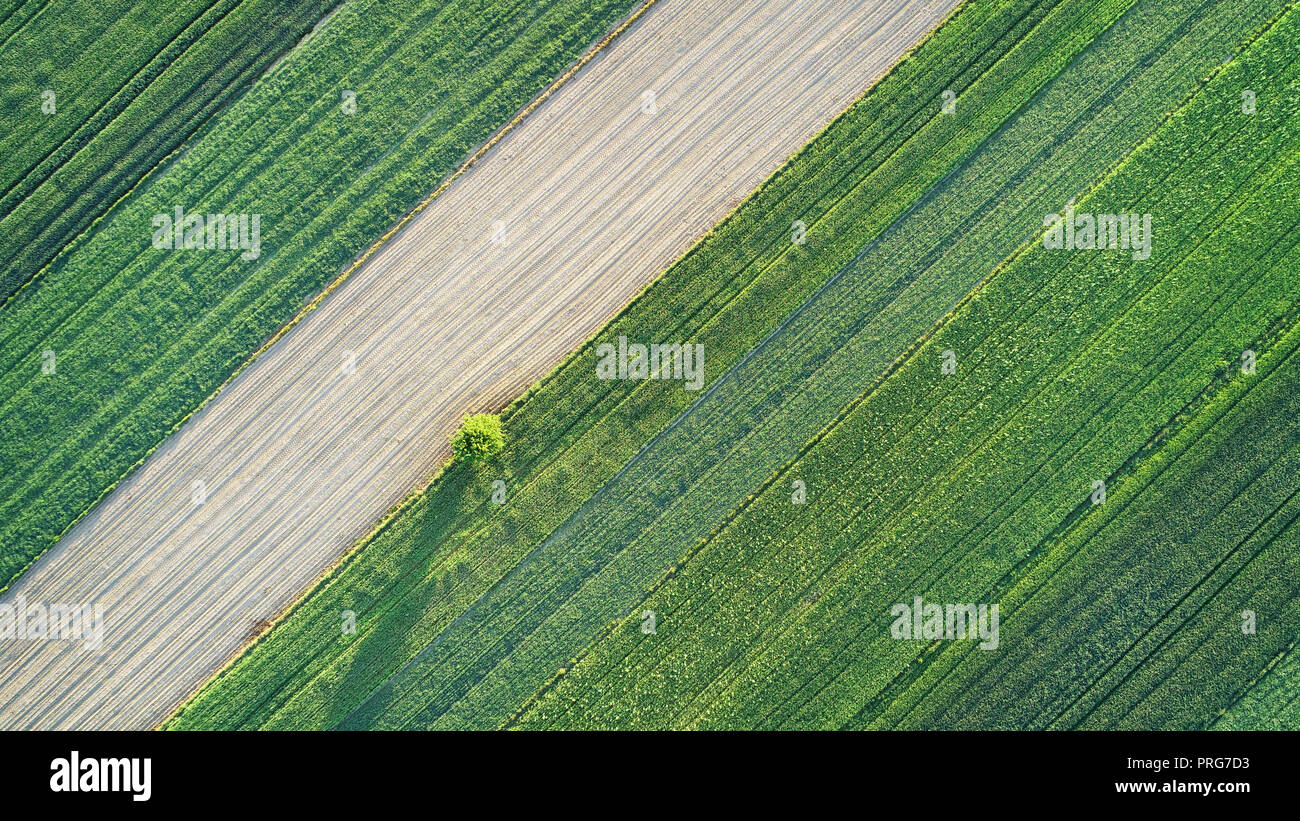 Aerial landscape - spring fields Stock Photo - Alamy