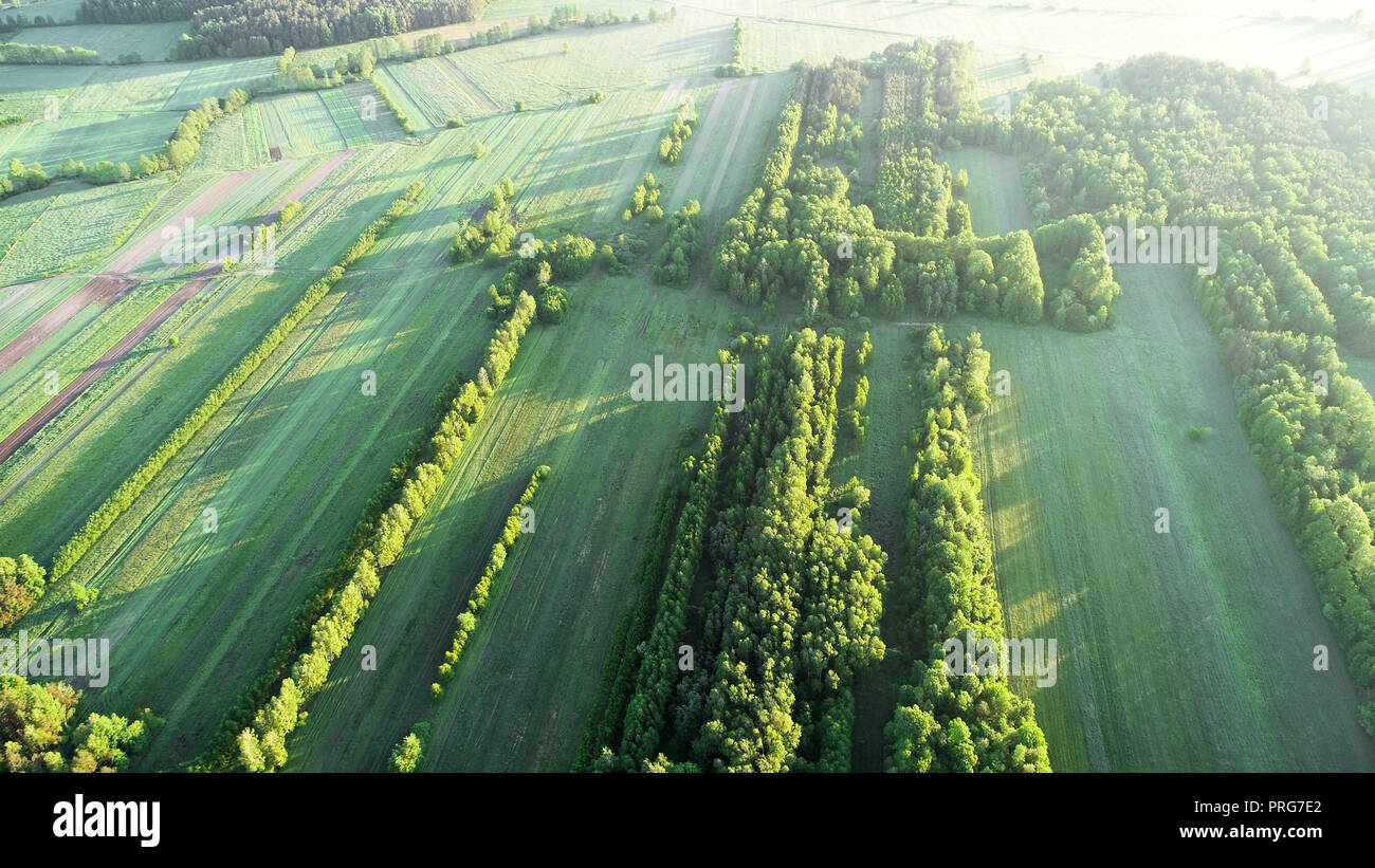 Aerial landscape - spring fields and forests Stock Photo - Alamy