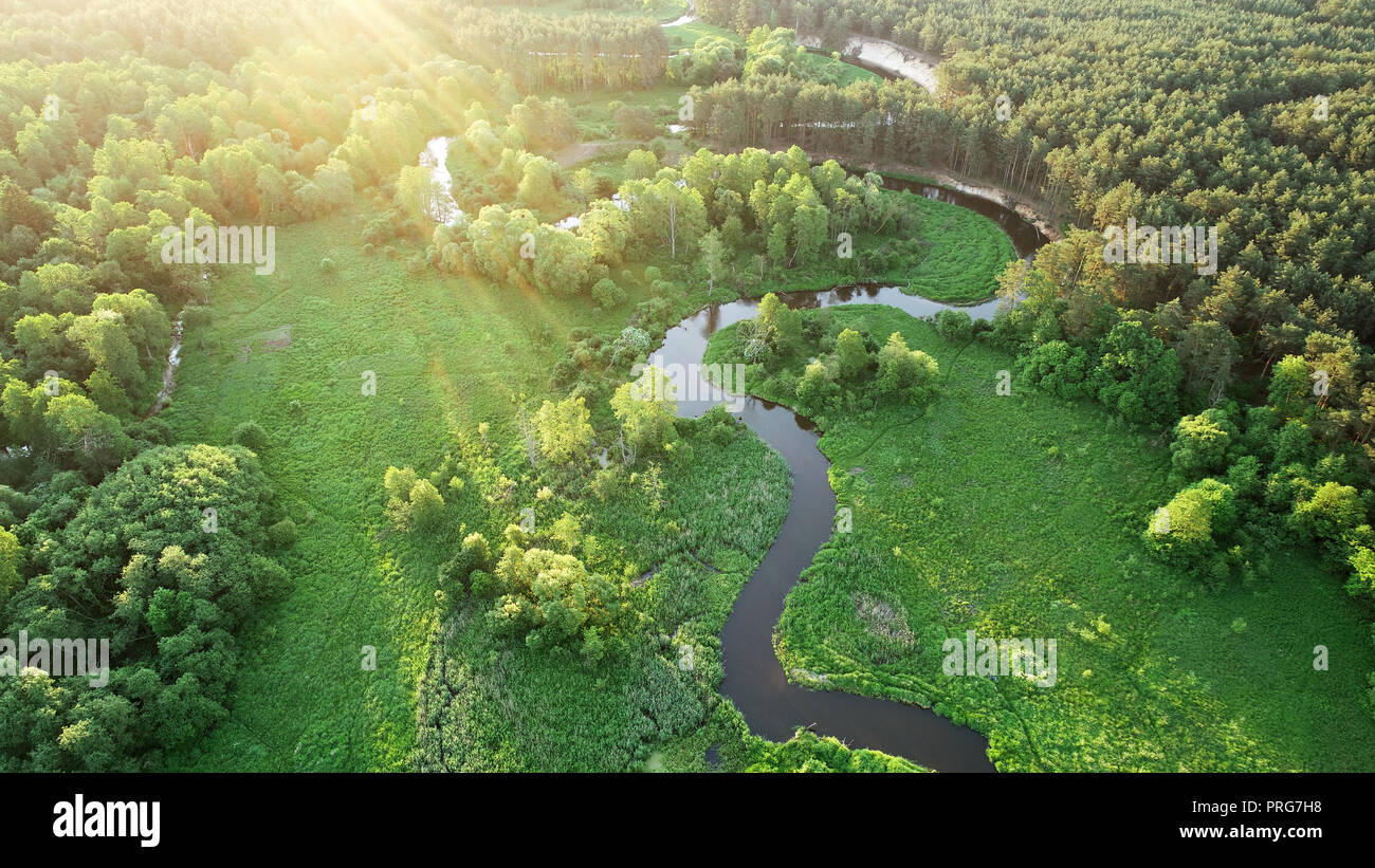 Aerial view from drone- river in the forest Stock Photo - Alamy