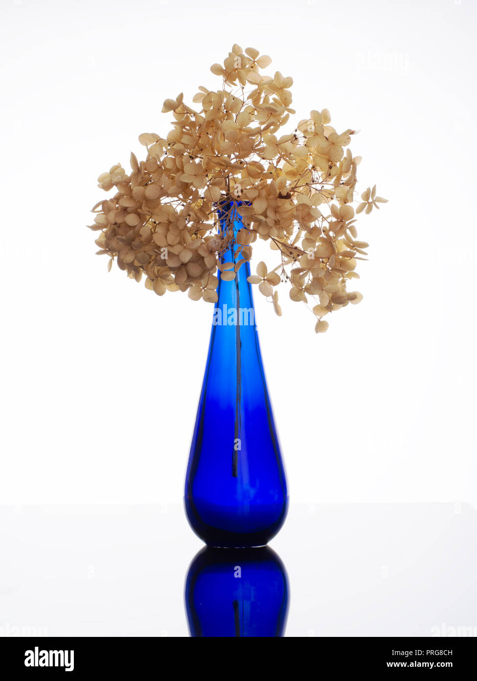 Close up of an elegant, beautiful blue glass vase with dried hydrangea ...