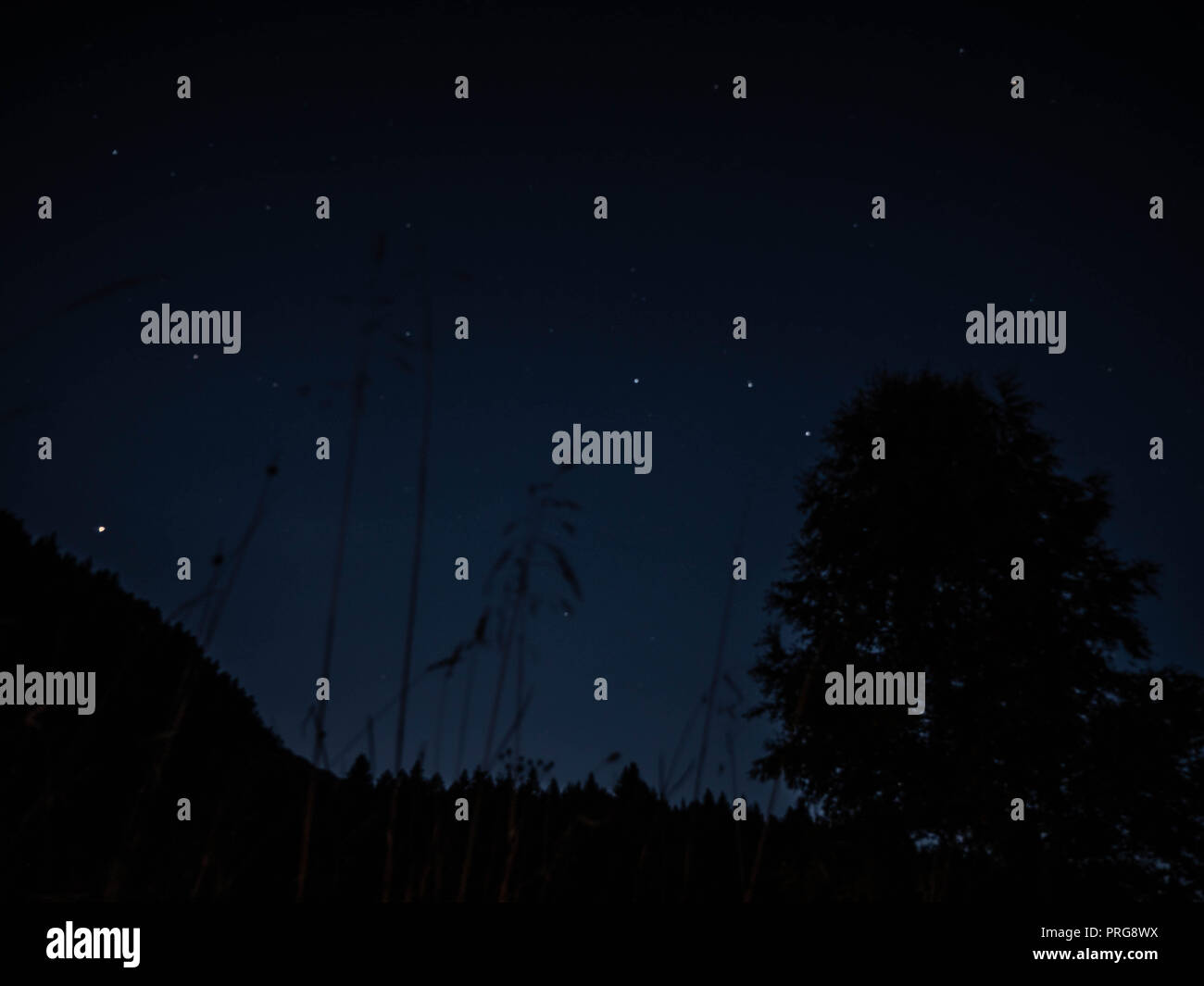 Night sky over the swiss wilderness with Forests and grasses in the ...