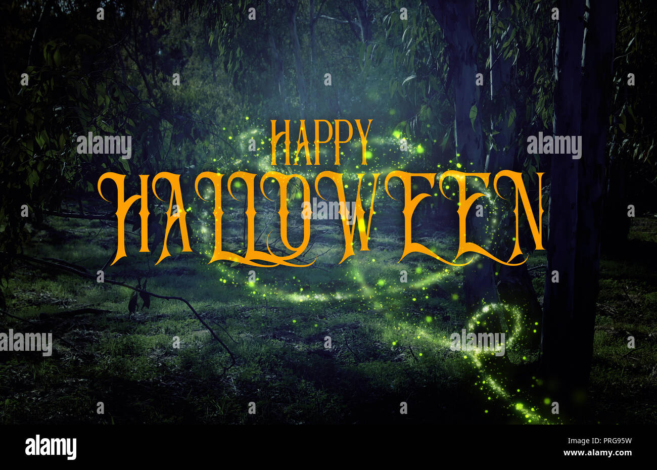 Halloween mysterious background of dark and haunted forest with text ...