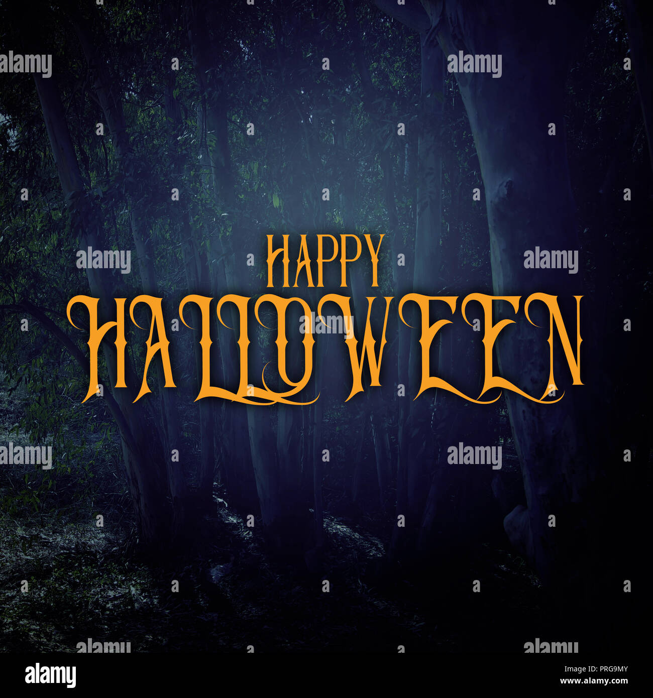 Halloween mysterious background of dark and haunted forest with text ...