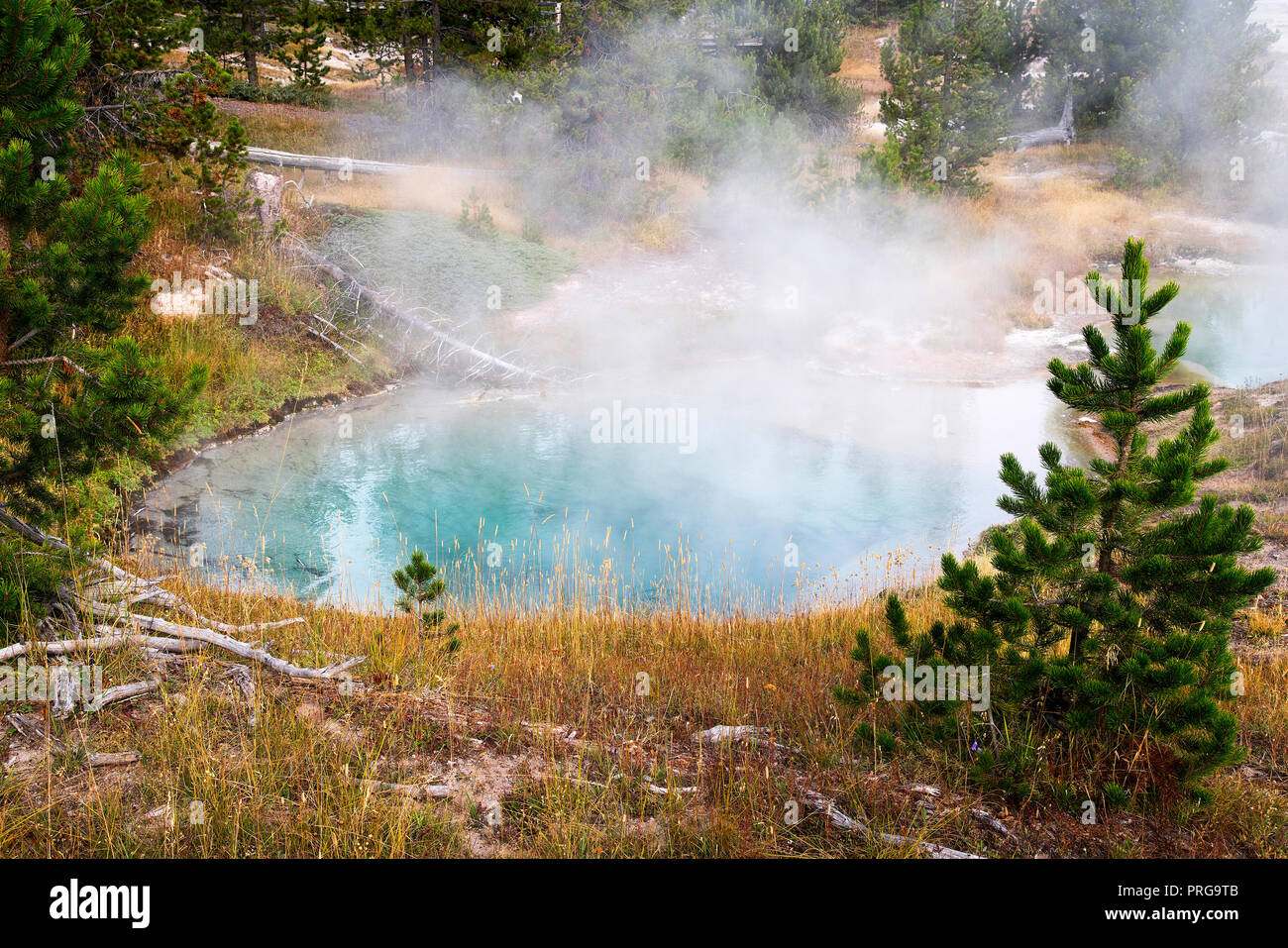 Bluebell pool hi-res stock photography and images - Alamy