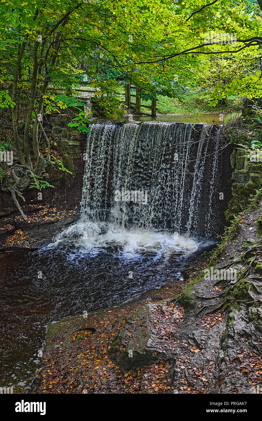 Plas power woods, wrexham hi-res stock photography and images - Alamy