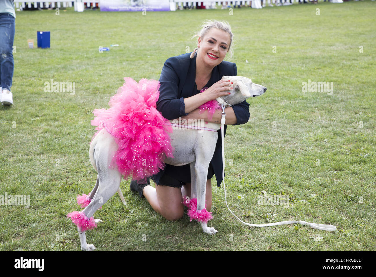 Lisa armstrong dog hi-res stock photography and images - Alamy
