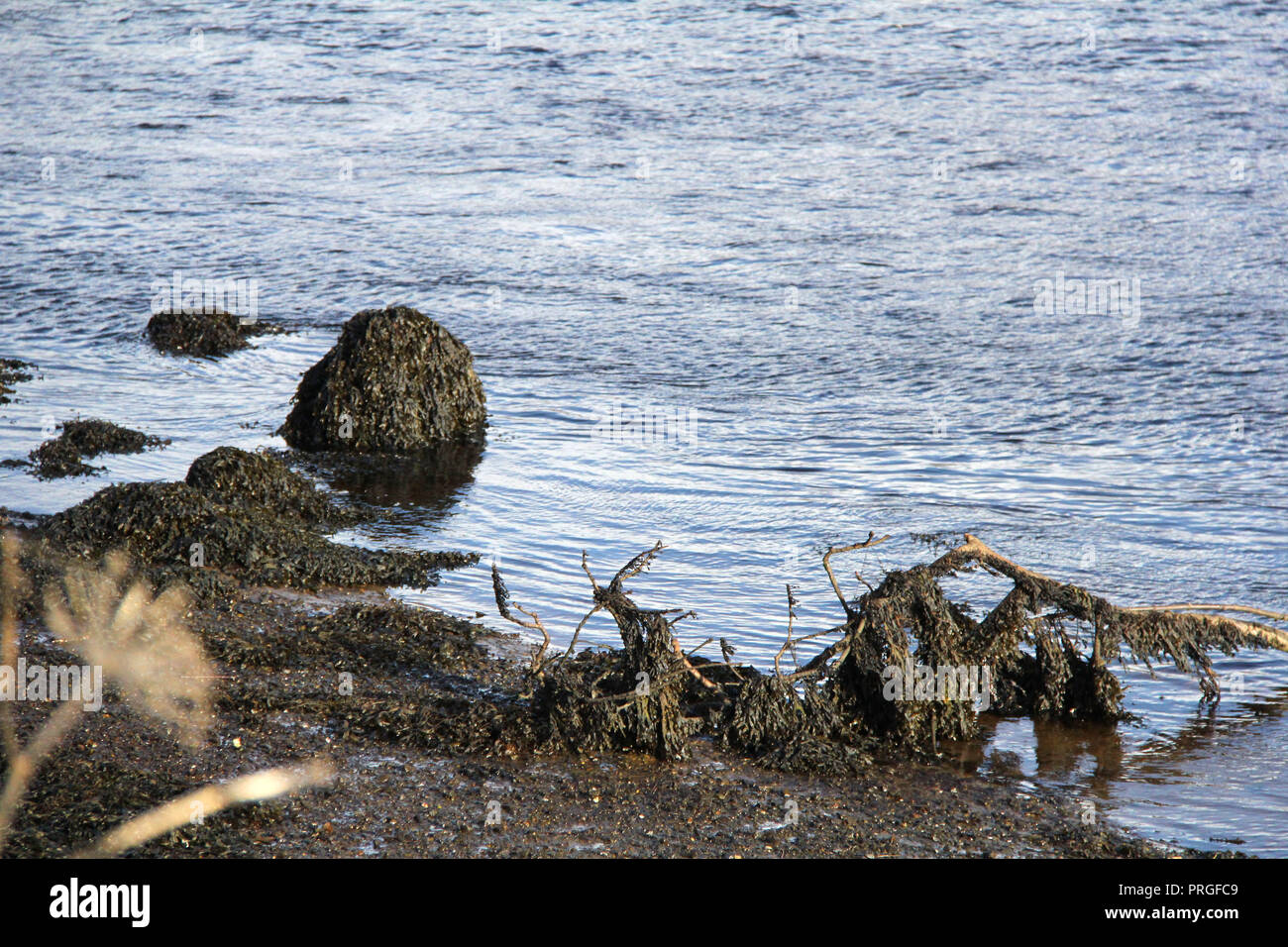 deep blue sea Stock Photo - Alamy
