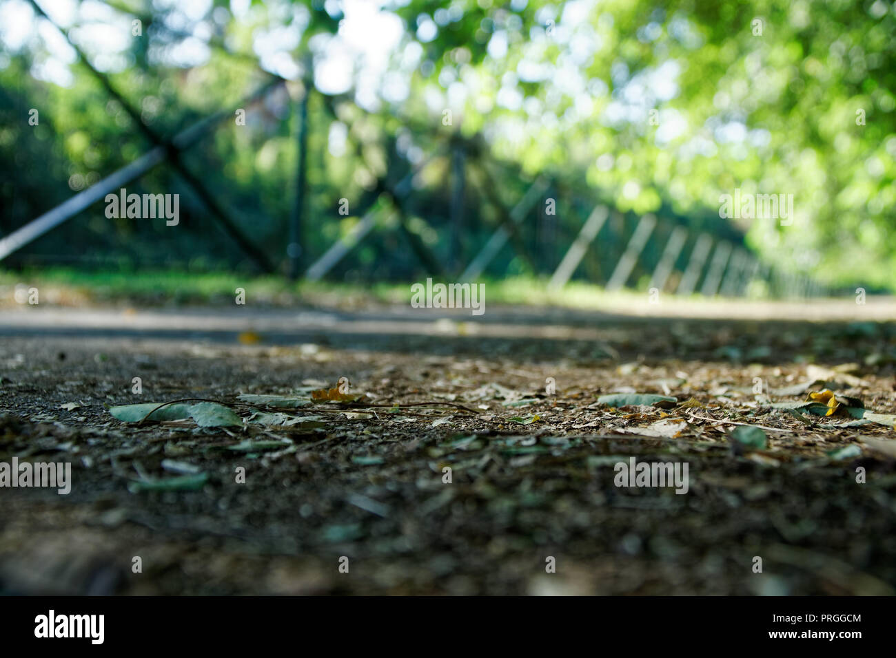 Footpath for running hi-res stock photography and images - Alamy