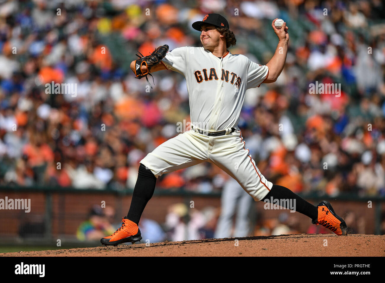 Csm holland hi-res stock photography and images - Alamy