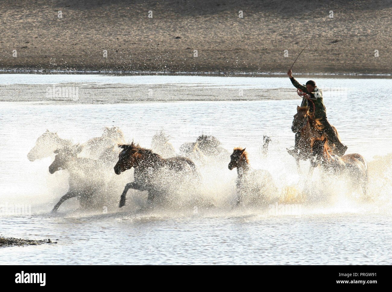 Tames hi-res stock photography and images - Alamy