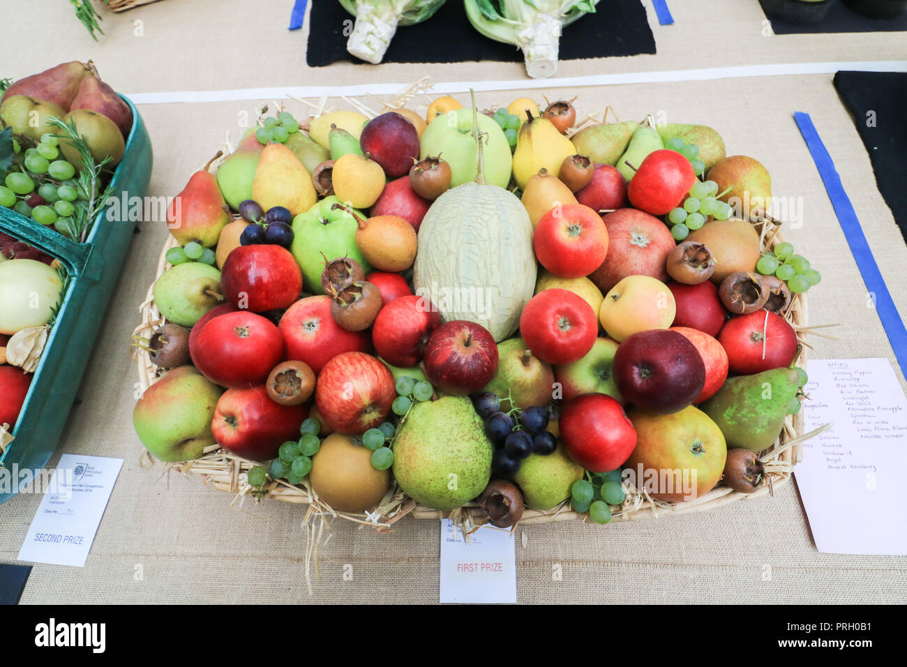 London UK. 3rd October 2018. The (RHS) Royal Horticultural Autumn show ...