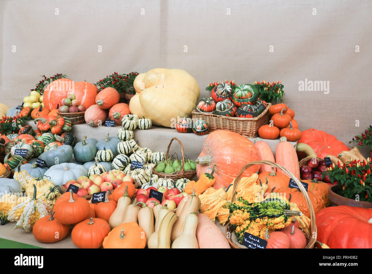 Rhs london harvest festival show hi-res stock photography and images ...