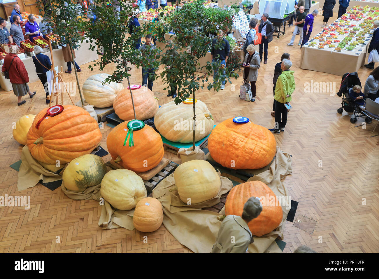 Display fruit vegetables horticultural show hi-res stock photography ...