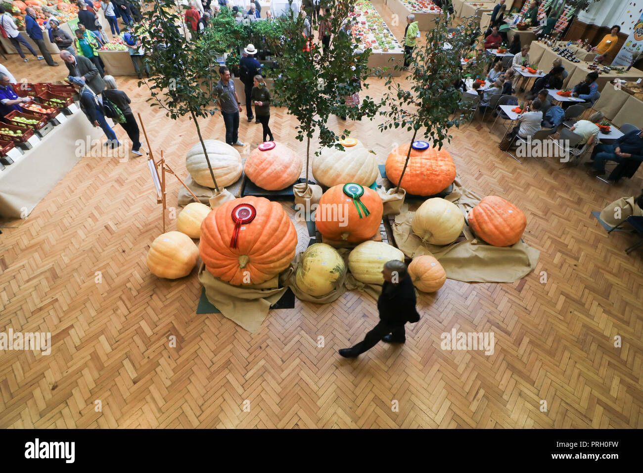 Display fruit vegetables horticultural show hi-res stock photography ...