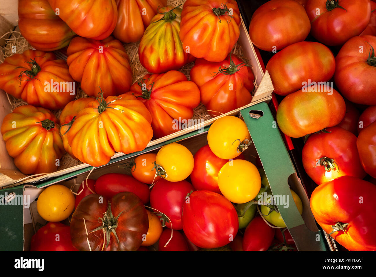 Fresh tomato varieties Stock Photo - Alamy