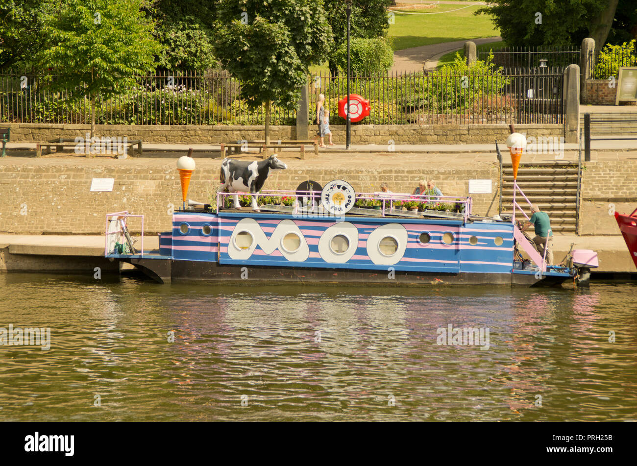 Moo cow hi-res stock photography and images - Alamy