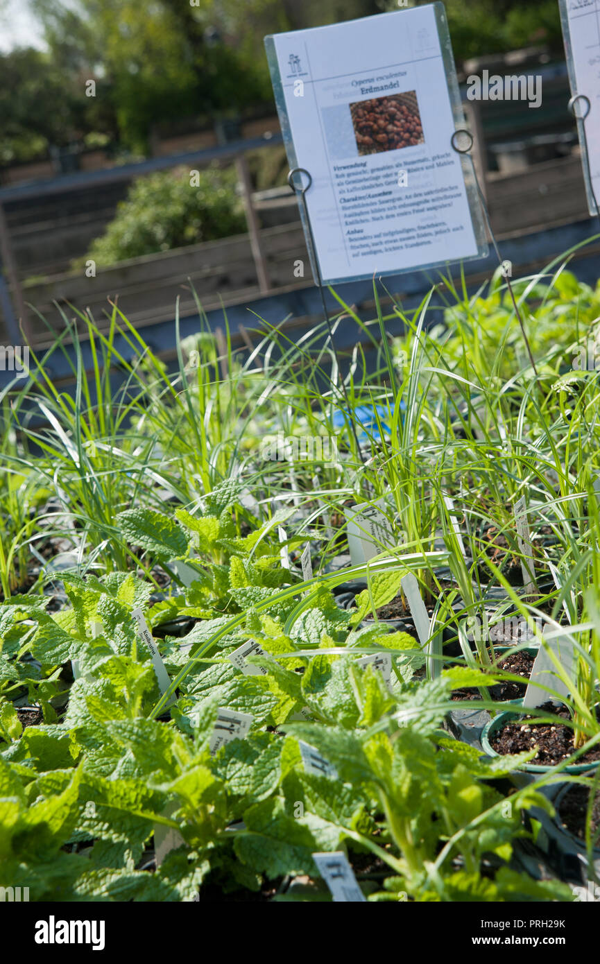 Botanischer garten vienna hi-res stock photography and images - Alamy