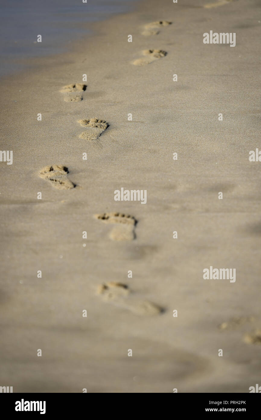 Detail shot with man footprints in the sand on a beach Stock Photo - Alamy