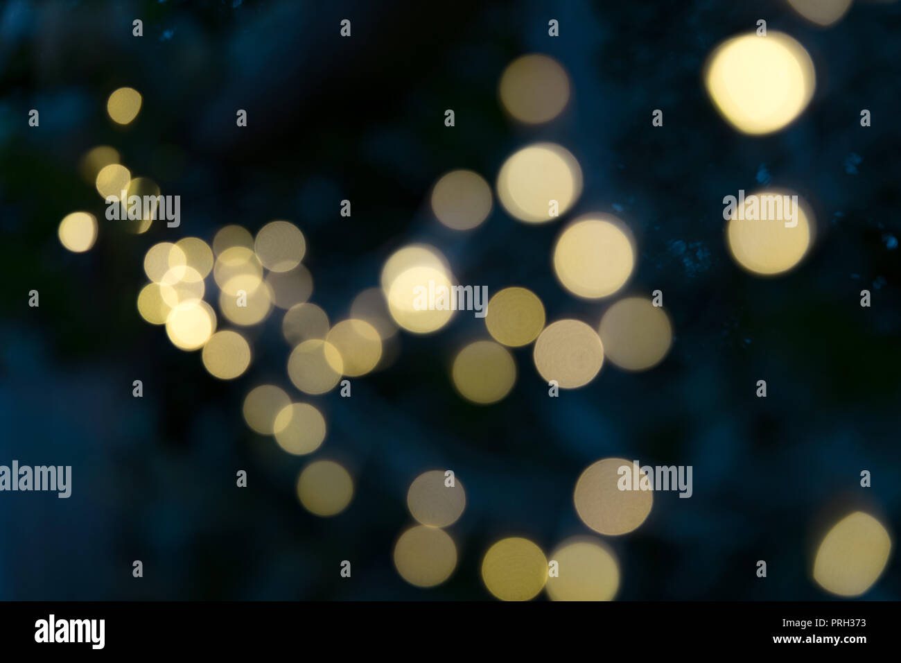 Partly focused yellow Christmas lights hanging on dark tree branch with ...