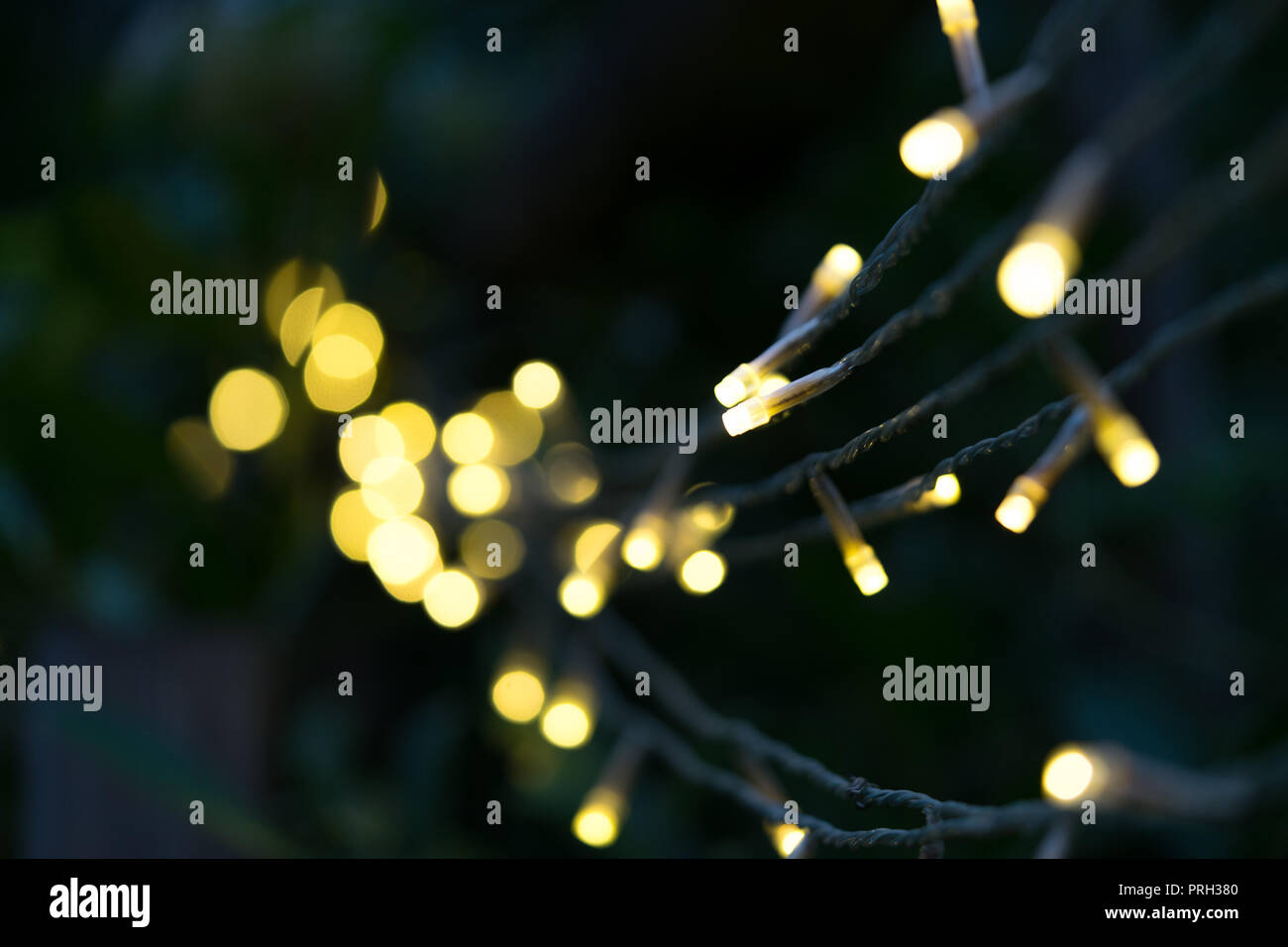 Yellow christmas lights hi-res stock photography and images - Alamy