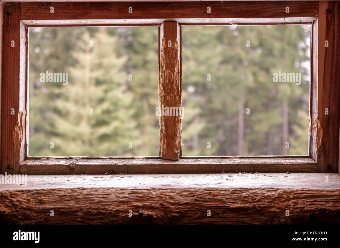 Two wooden windows. The window is divided into two. Window to the ...