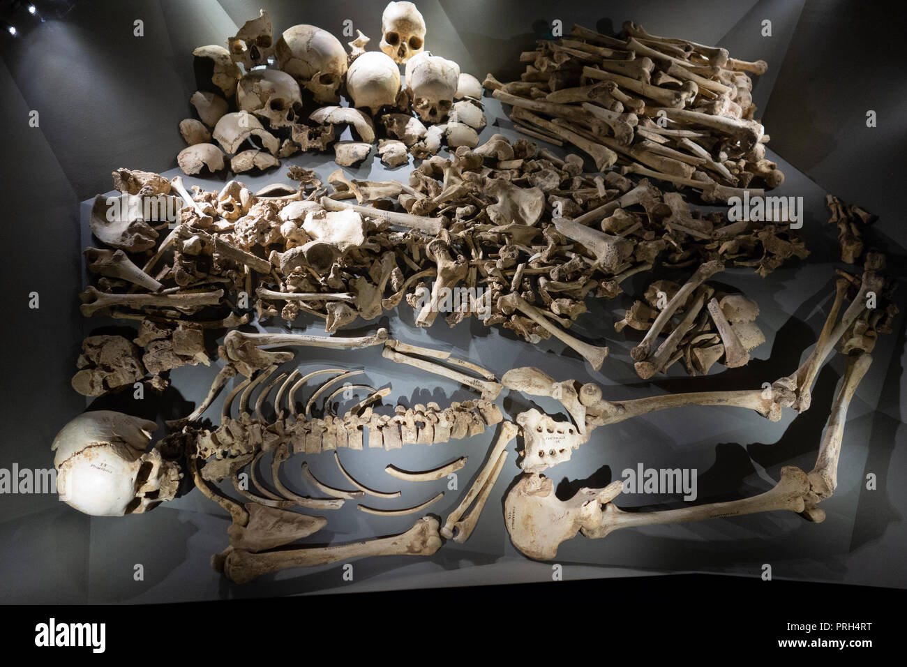 Prehistoric Human High Resolution Stock Photography and Images - Alamy