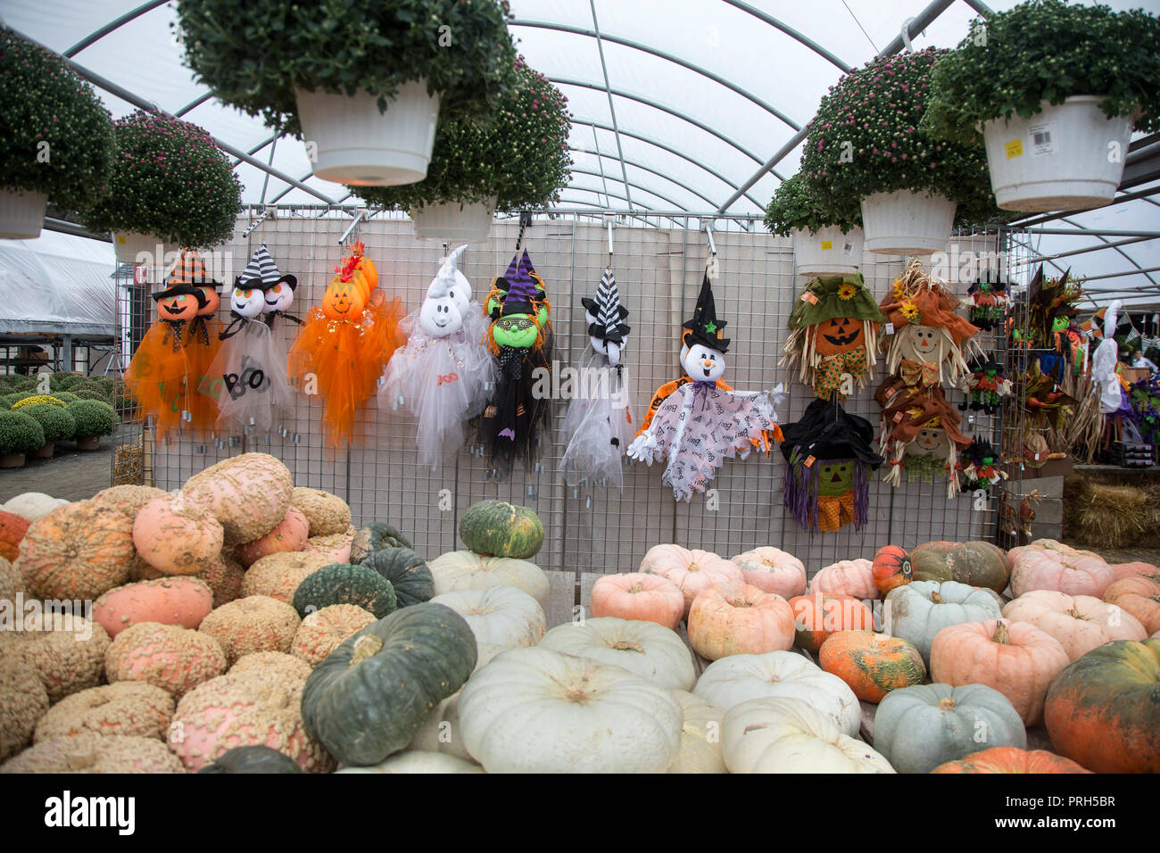 Halloween decorations and pumpkins at a farm stand Stock Photo - Alamy