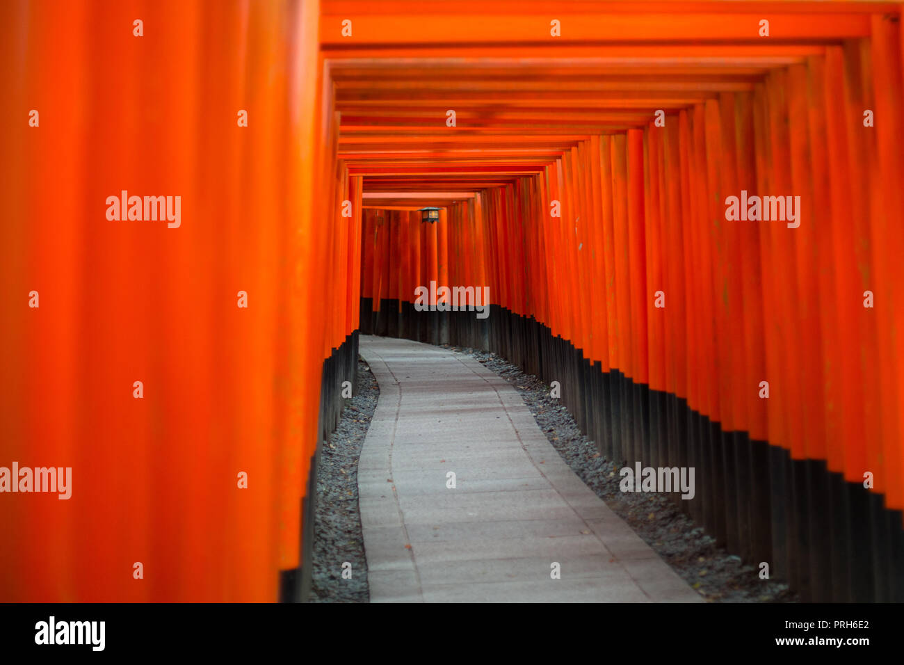 Wooden red Torii Gate at Fushimi Inari Shrine ancient traditional ...