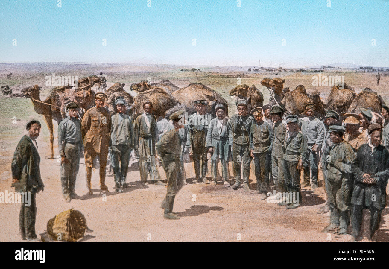 Camels in world war i hi-res stock photography and images - Alamy