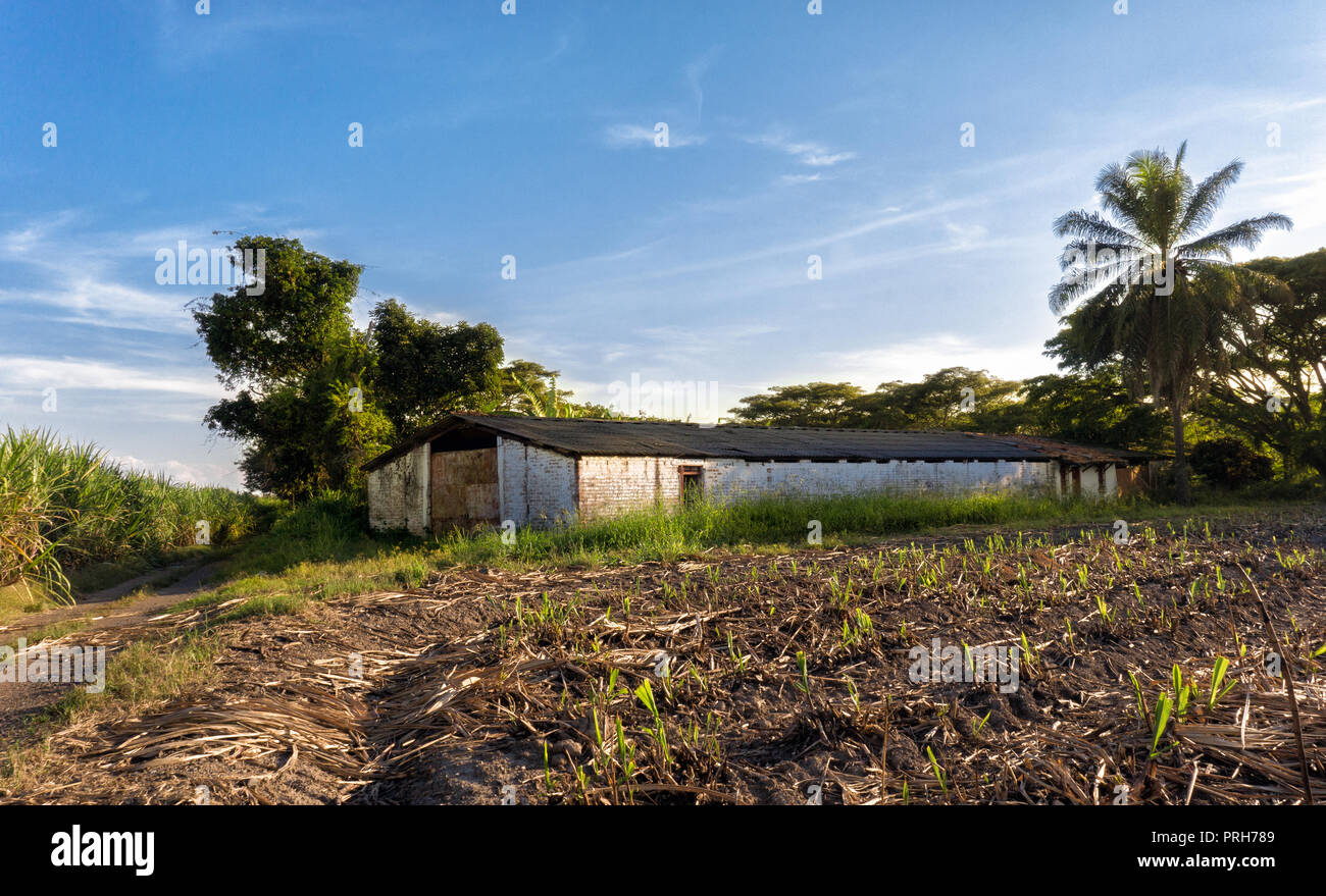 Agricultural warehouse. An agricultural storage warehouse in the middle ...