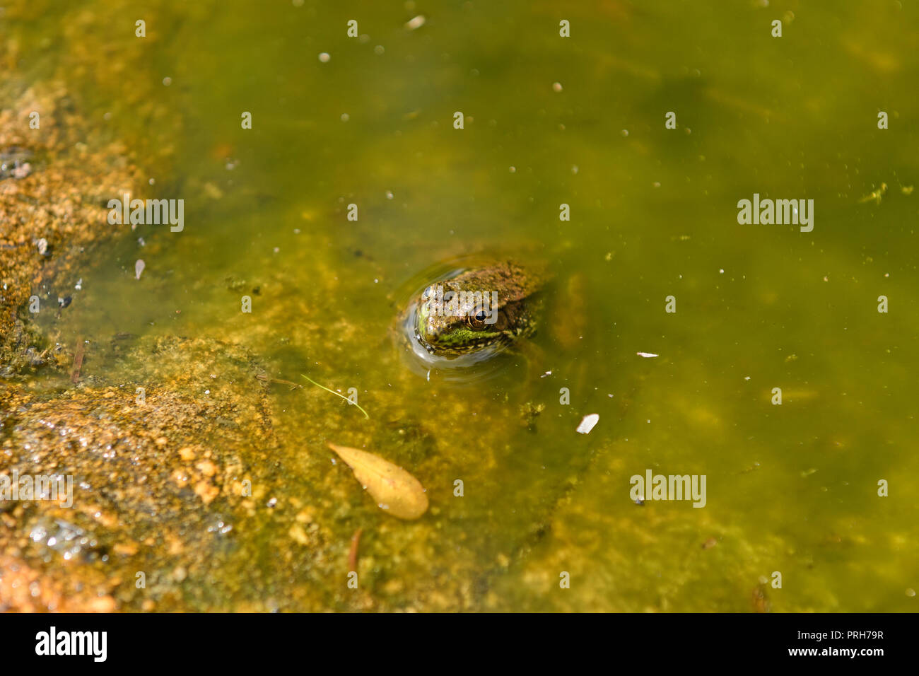 Provincial park boundary hi-res stock photography and images - Alamy