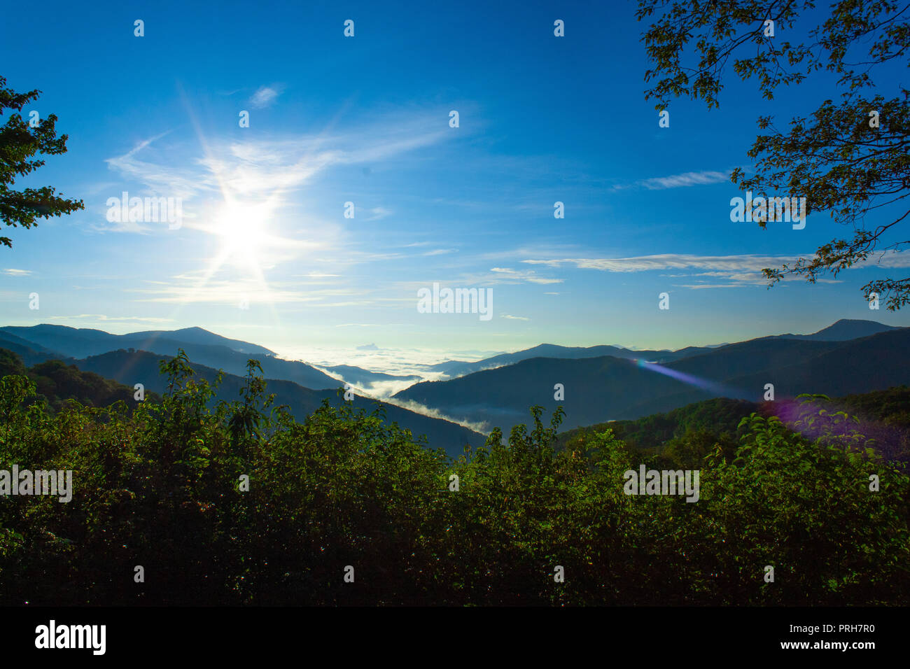 Smoky Mountains River Mist High Resolution Stock Photography and Images ...
