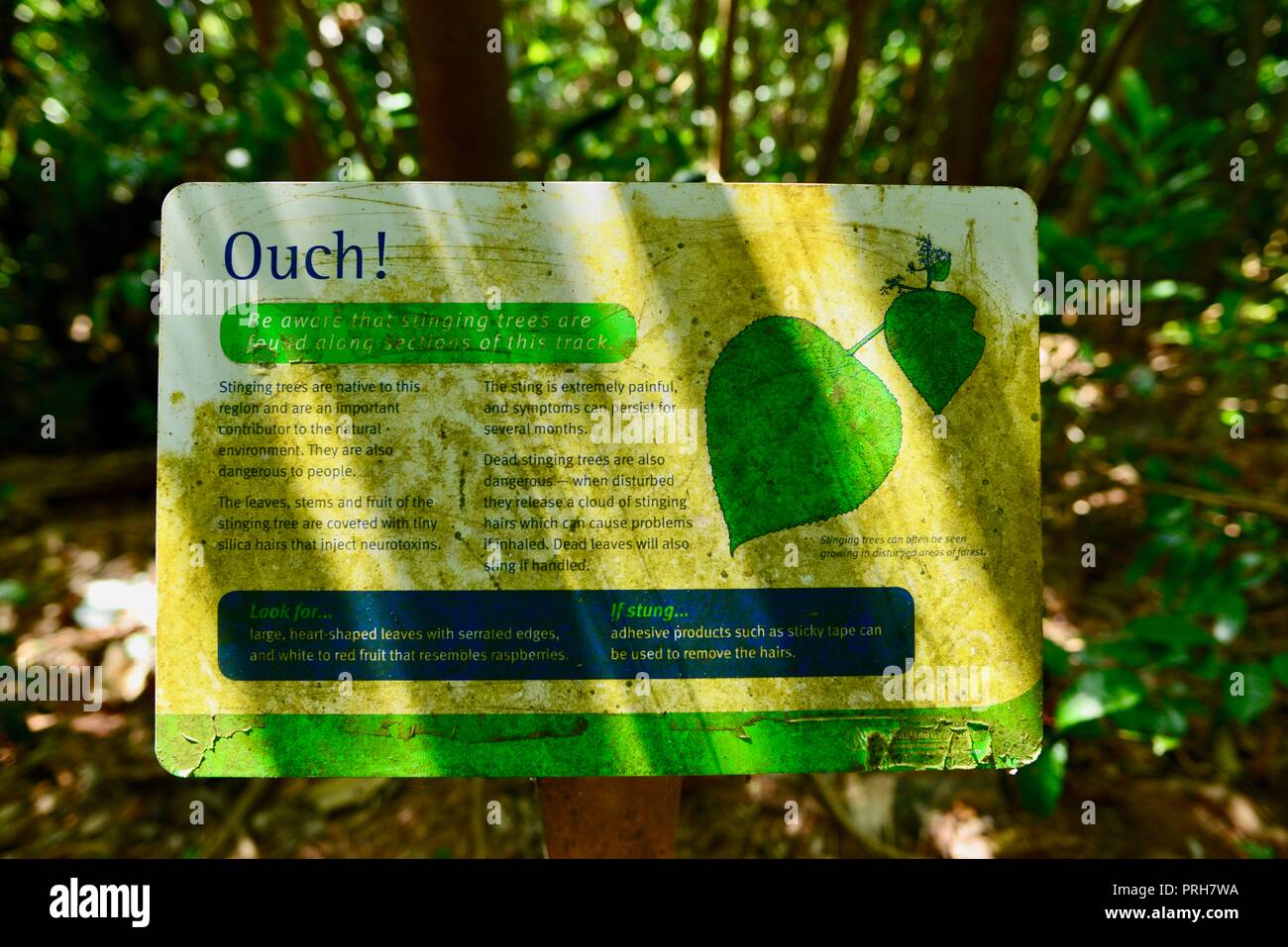 Clump mountain national park, Garners Beach Rd, Garners Beach QLD 4852 ...