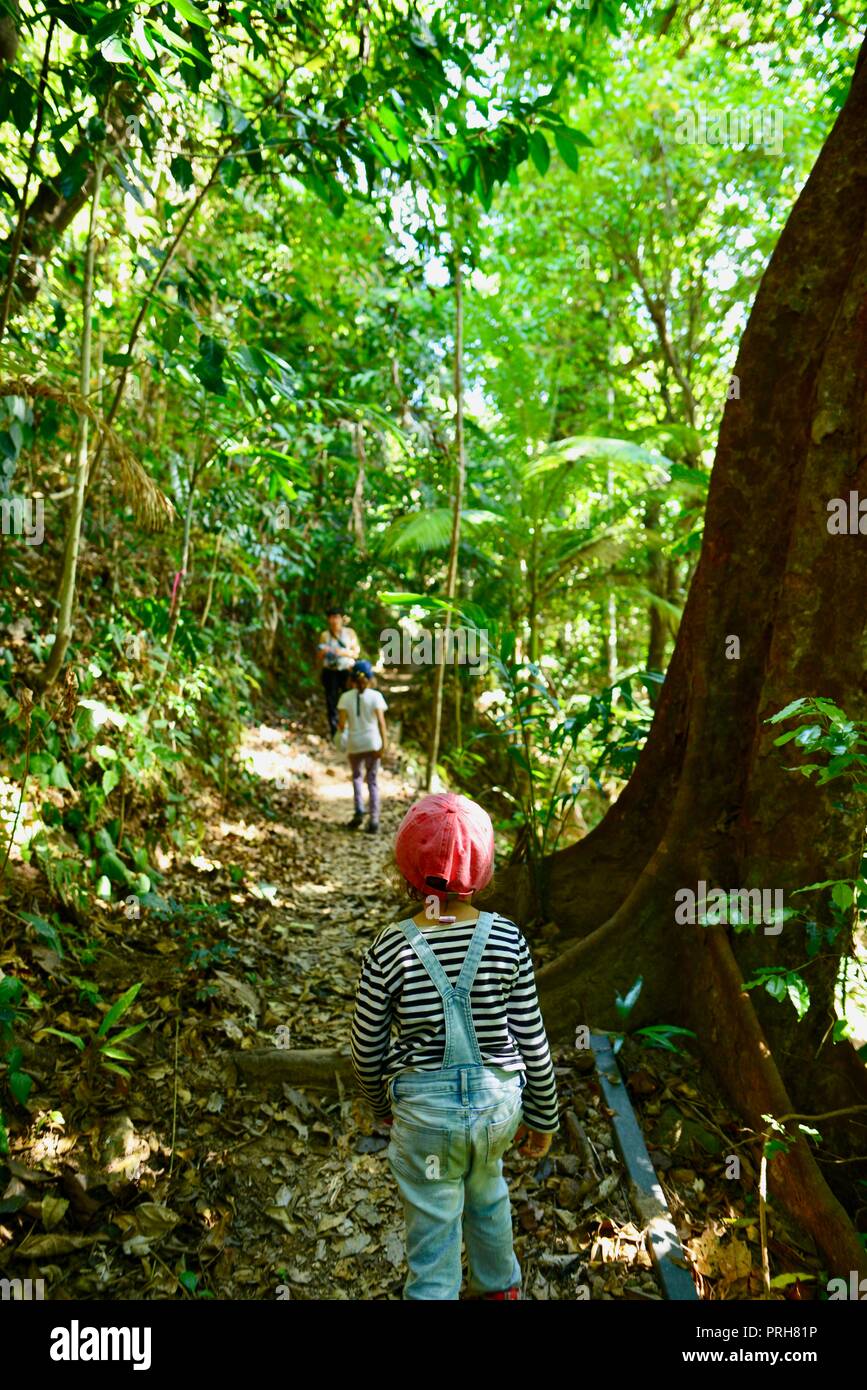 Clump mountain national park, Garners Beach Rd, Garners Beach QLD 4852 ...