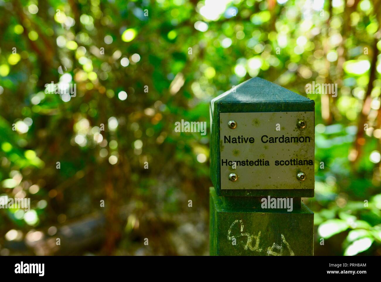 Clump mountain national park, Garners Beach Rd, Garners Beach QLD 4852 ...