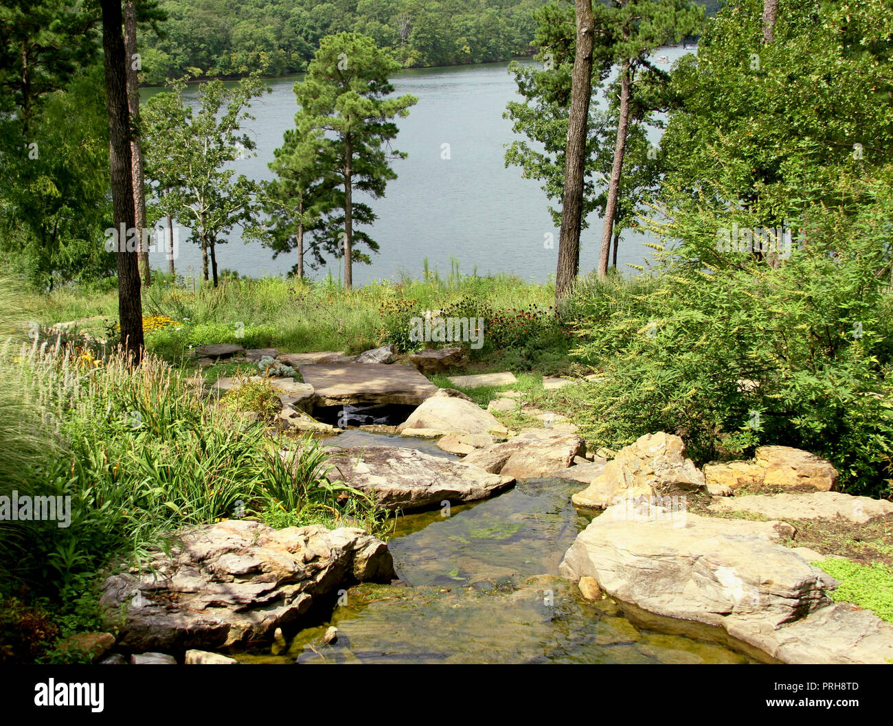 Stream to the sea Stock Photo - Alamy