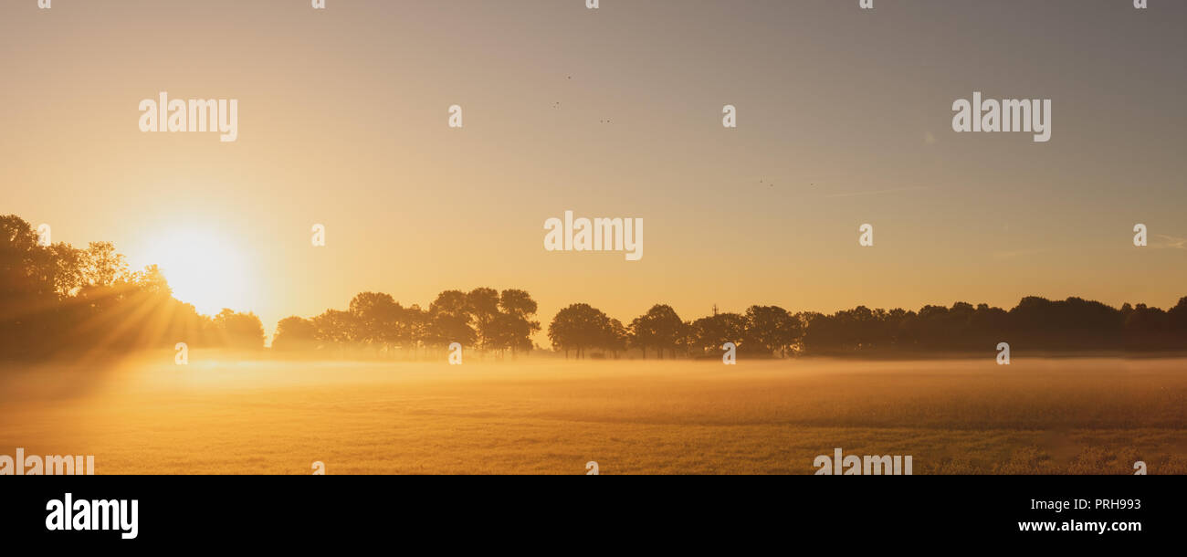 Shimmering light hi-res stock photography and images - Alamy