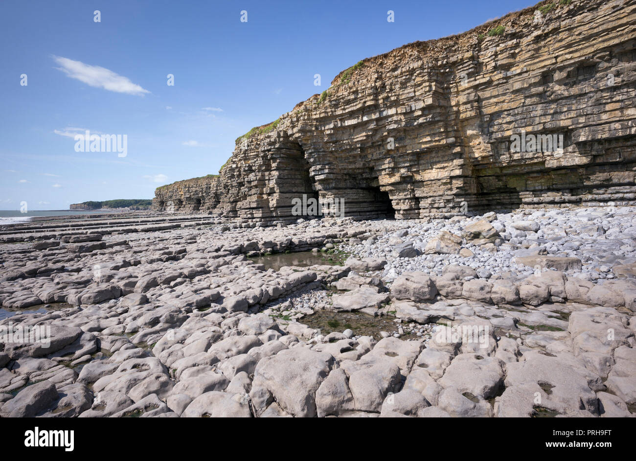 Rockpools in sea-eroded limestone with cliffs of interbedded limetsone ...