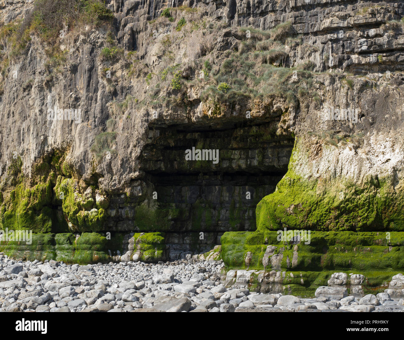 Sea cliff cave wales hi-res stock photography and images - Alamy